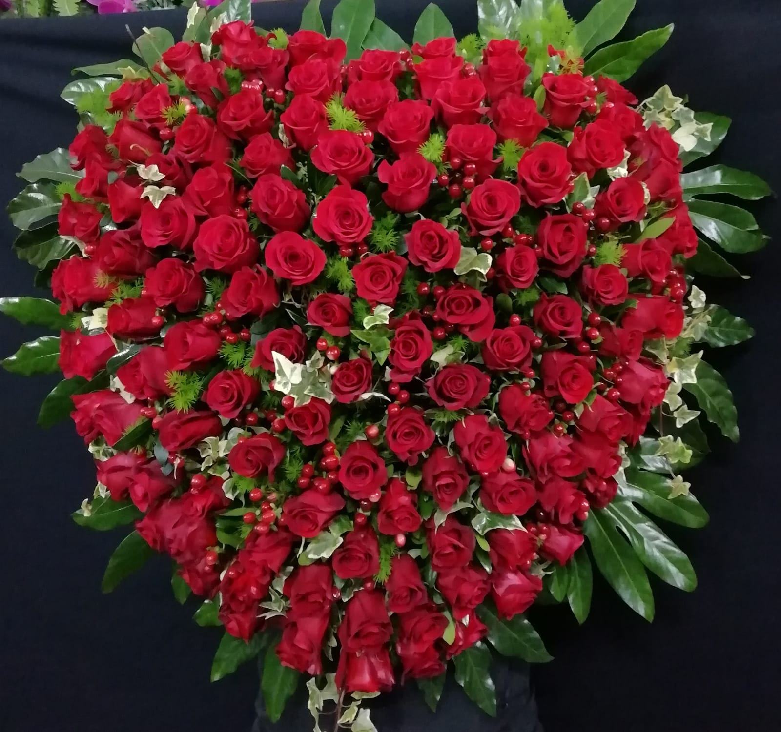 Rose – Fiori Albano di B.filippi, V.Galasso & c. S.a.s.